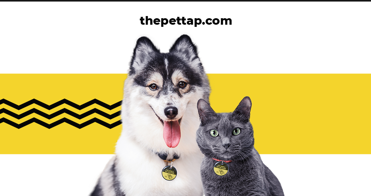 Pet Tap Tags for Dogs and Cats | The Pet Tap UK